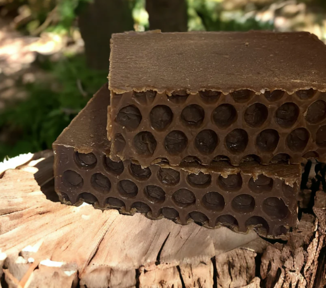 The Rich History of Pine Tar in Body Products – Heritage Mountain